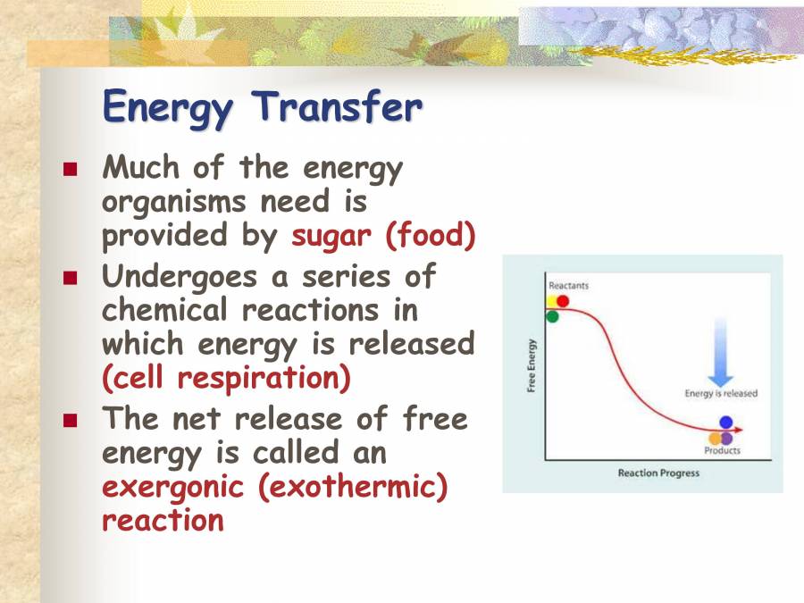 Basics Of Physical Chemistry - PowerPoint Slides - LearnPick India
