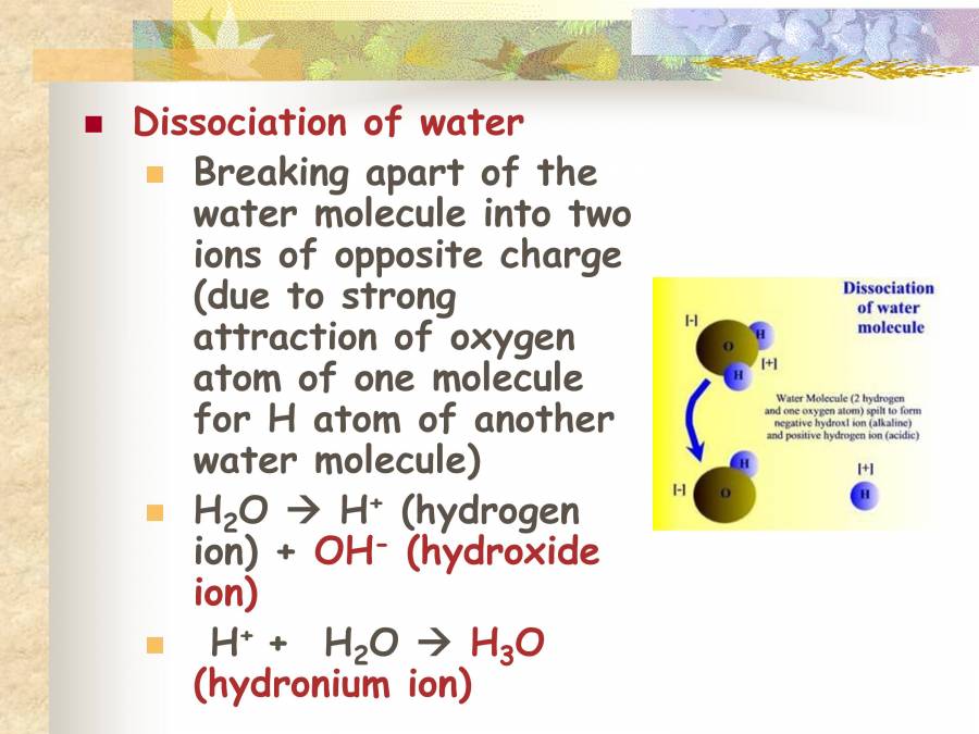 Basics Of Physical Chemistry - PowerPoint Slides - LearnPick India