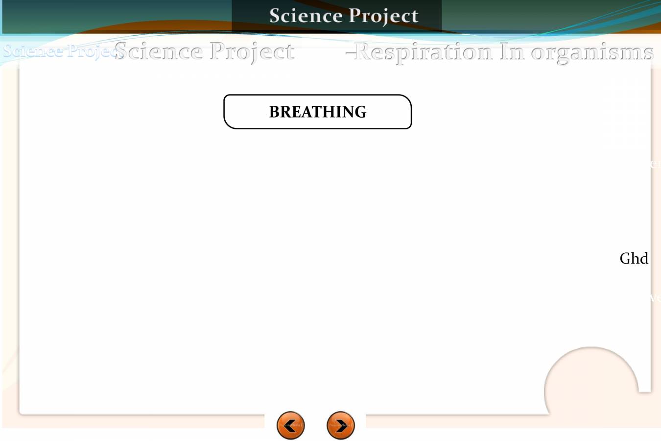Respiration In Organism Class 7 CBSE SCIENCE - PowerPoint Slides ...