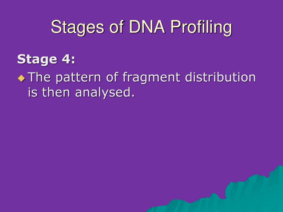 DNA Fingerprinting - PowerPoint Slides - LearnPick India