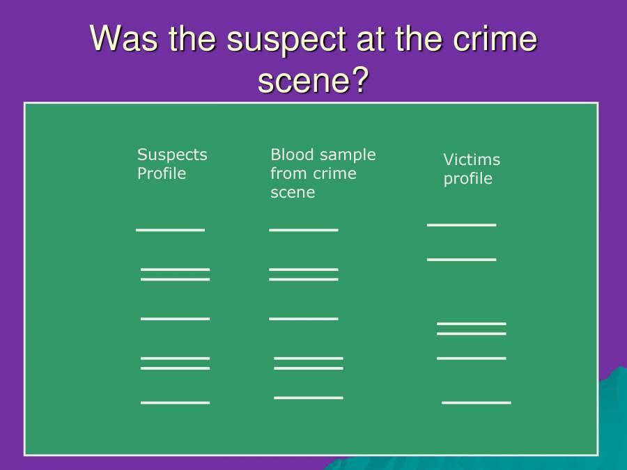 DNA Fingerprinting - PowerPoint Slides - LearnPick India