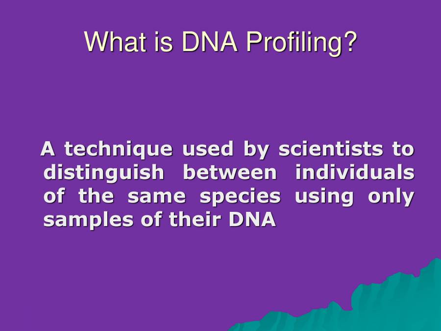 DNA Fingerprinting - PowerPoint Slides - LearnPick India