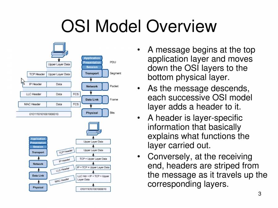 Networking Protocols, Devices - PowerPoint Slides - LearnPick India