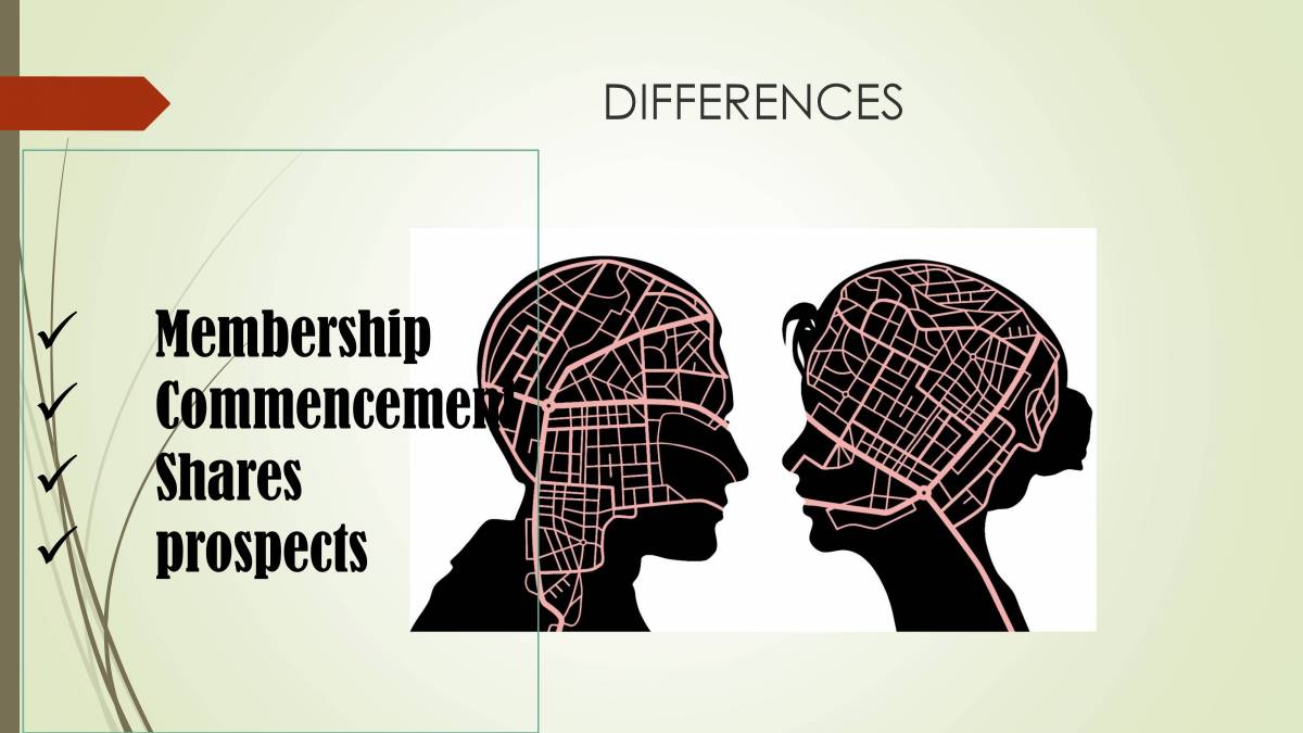 Types Of Company - PowerPoint Slides - LearnPick India