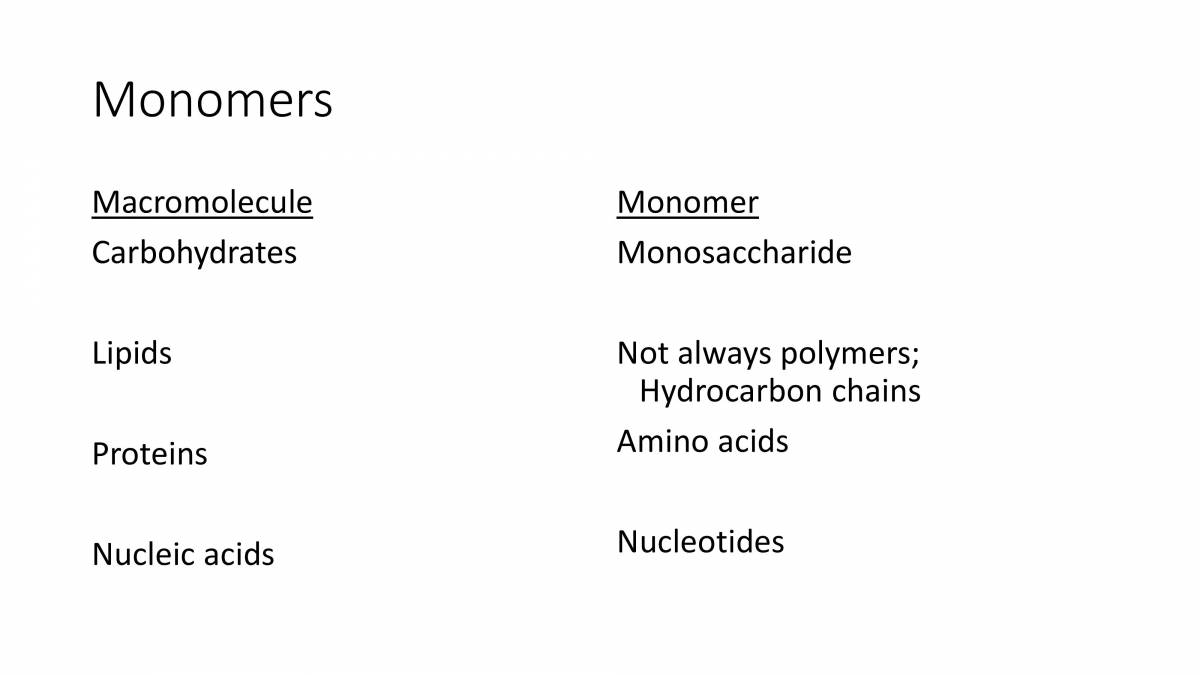 Monomers And Polymers Of Carbohydrates Lipids And Proteins