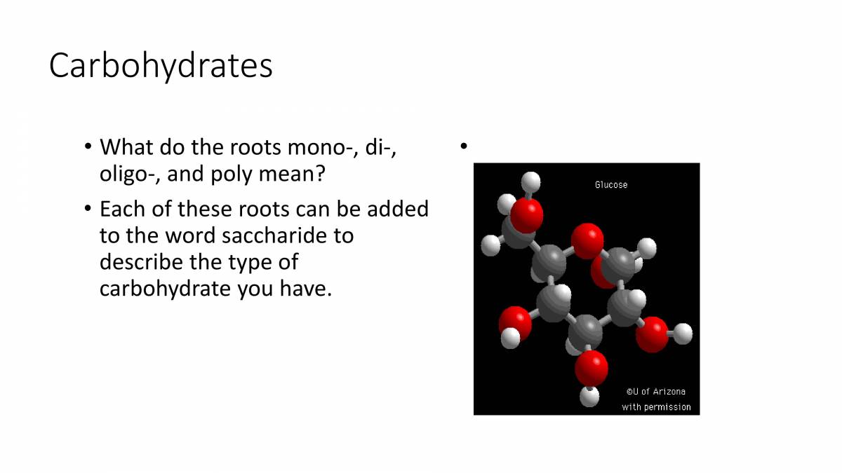 Carbohydrates - PowerPoint Slides - LearnPick India