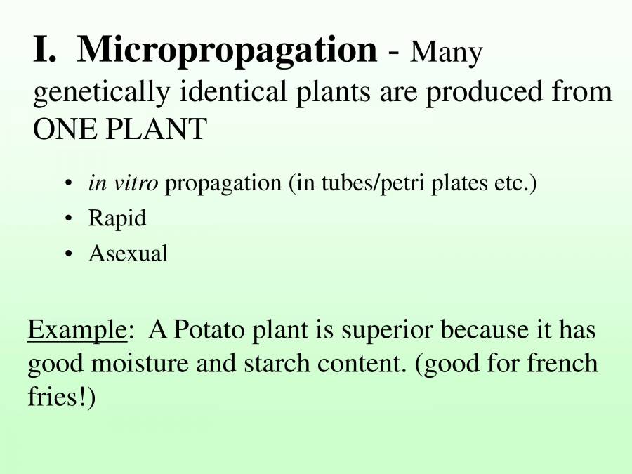 Biotech - PowerPoint Slides - LearnPick India
