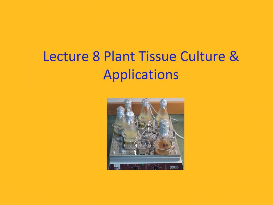 Plant Tissue Culture - PowerPoint Slides - LearnPick India