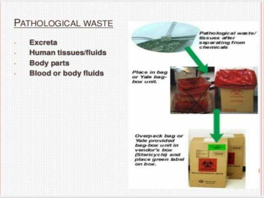 Biomedical Waste Management - PowerPoint Slides - LearnPick India