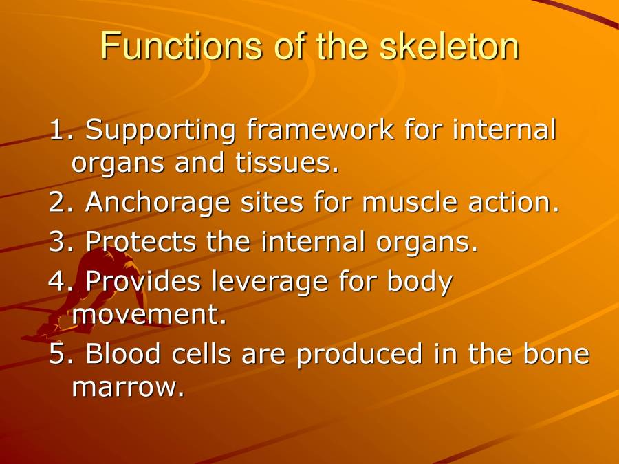 Basic Science - PowerPoint Slides - LearnPick India