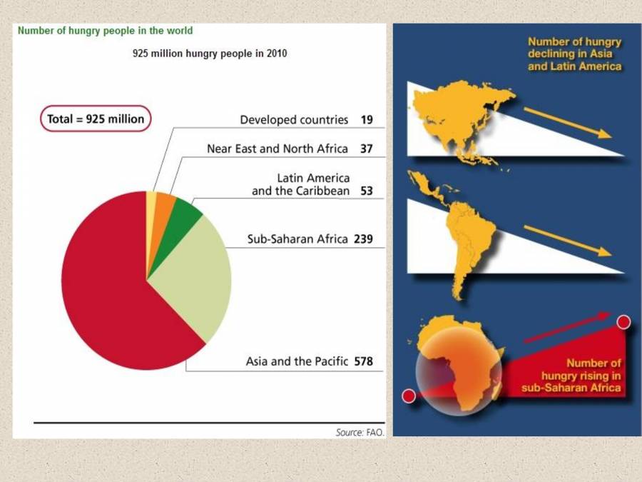 World Hunger - PowerPoint Slides - LearnPick India