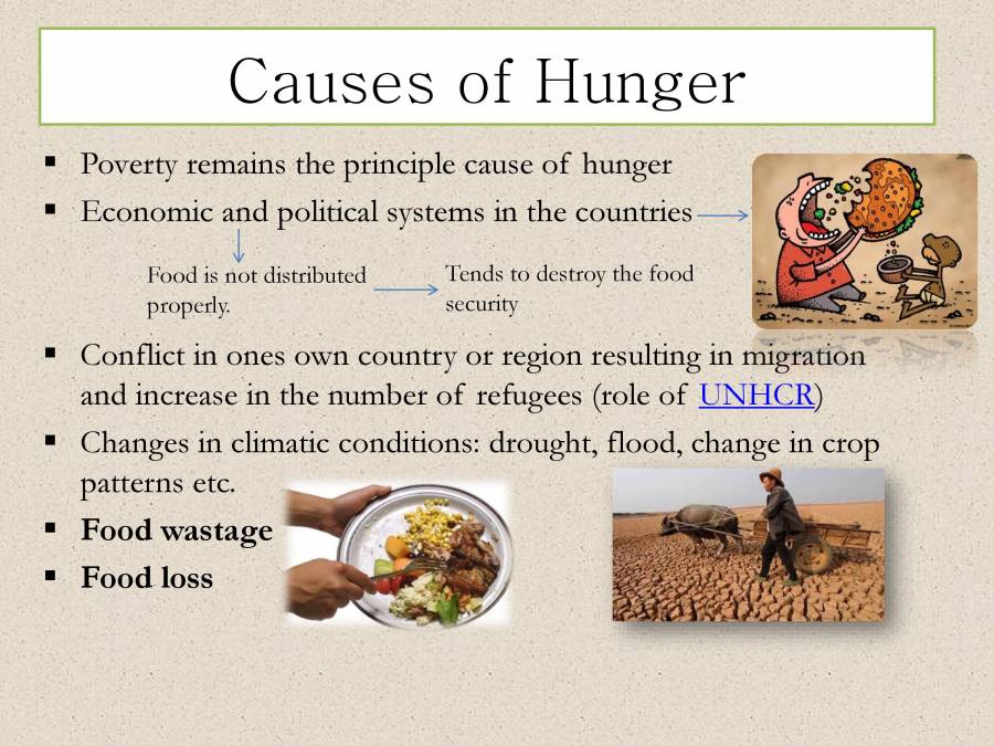 World Hunger - PowerPoint Slides - LearnPick India