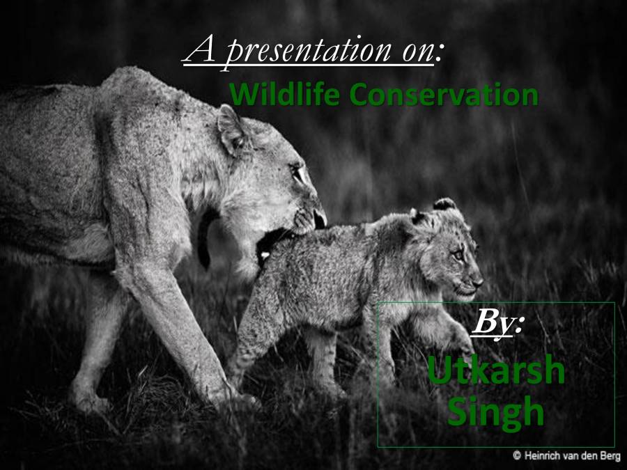 Wildlife Conservation - PowerPoint Slides - LearnPick India