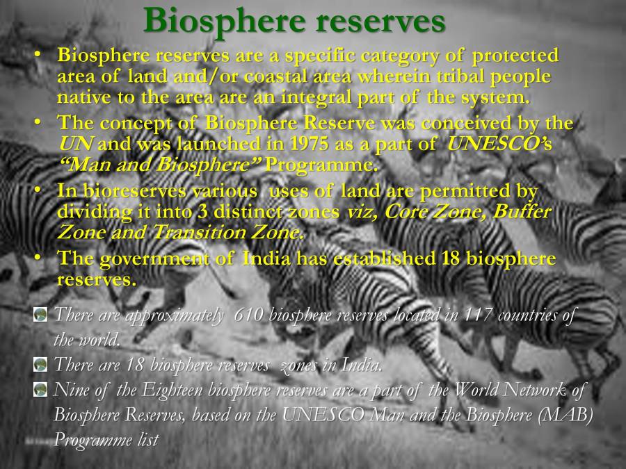 Wildlife Conservation - PowerPoint Slides - LearnPick India