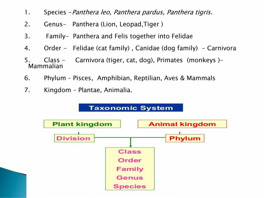 Living World - PowerPoint Slides - LearnPick India