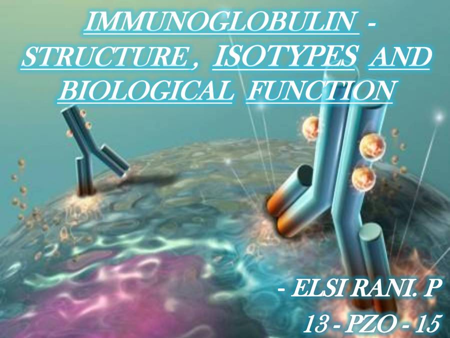 Immunoglobulins - PowerPoint Slides - LearnPick India