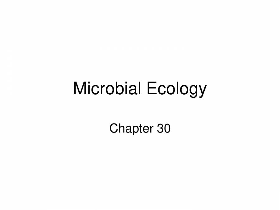 Microbial Ecology Powerpoint Slides Learnpick India