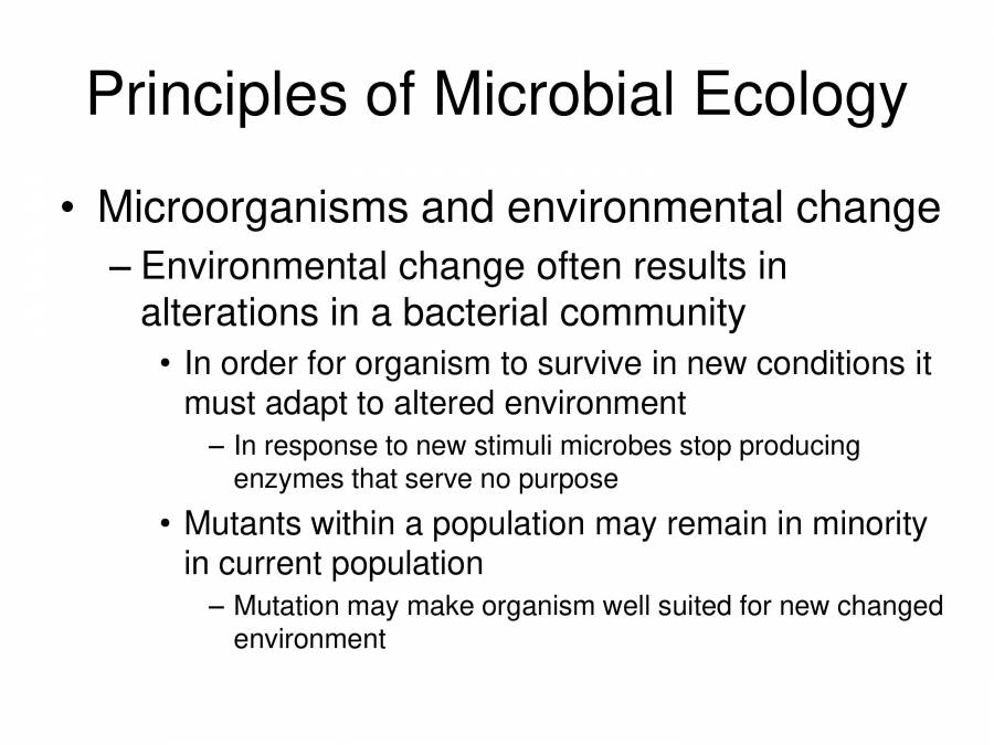 Microbial Ecology - PowerPoint Slides - LearnPick India
