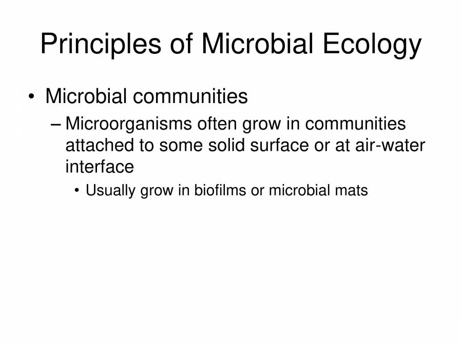 Microbial Ecology - PowerPoint Slides - LearnPick India