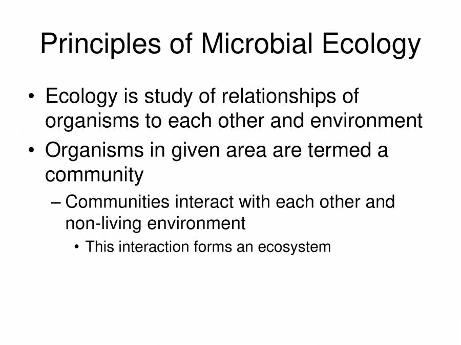 Microbial Ecology - PowerPoint Slides - LearnPick India
