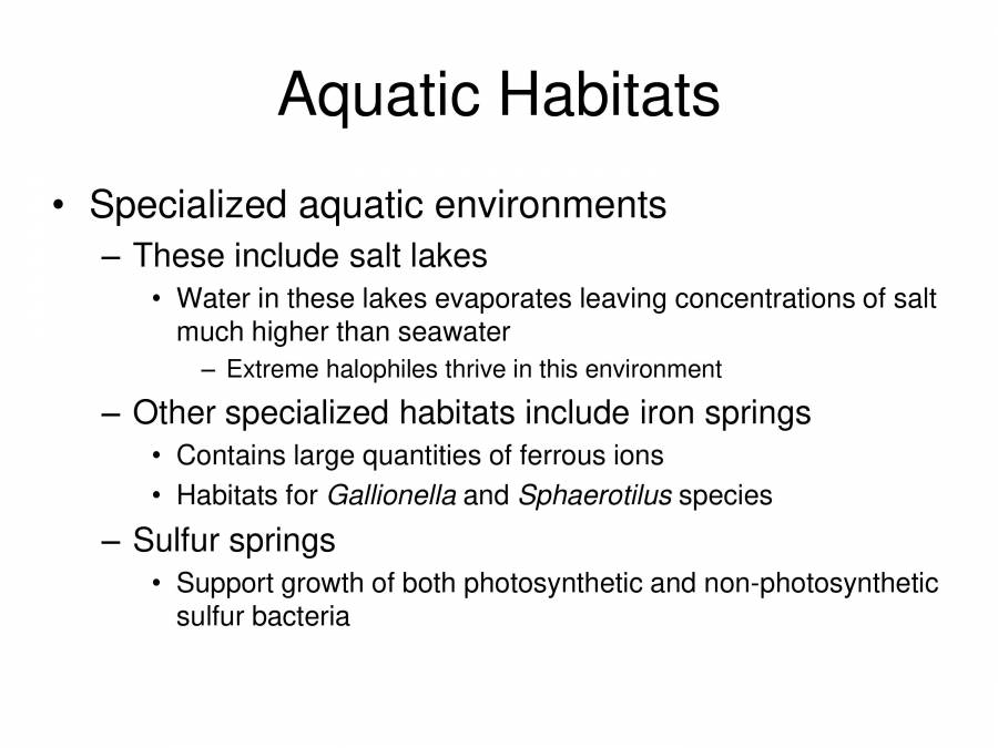 Microbial Ecology - PowerPoint Slides - LearnPick India