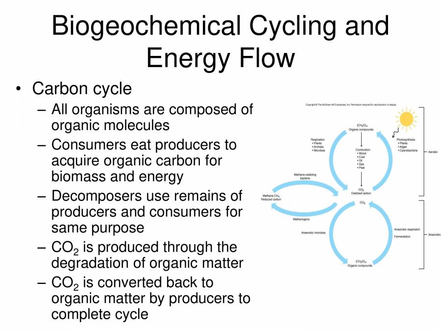 Microbial Ecology - PowerPoint Slides - LearnPick India