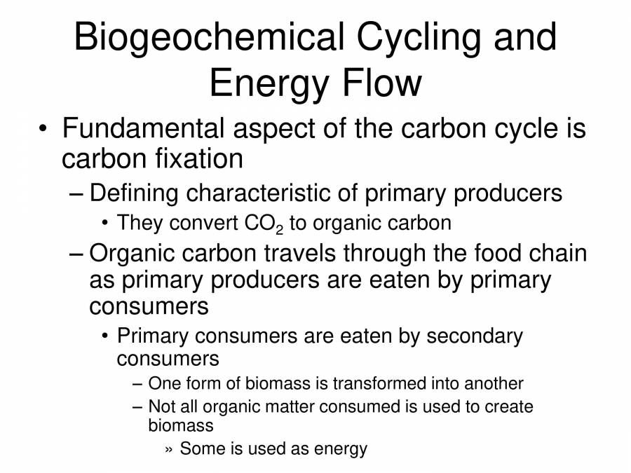 Microbial Ecology - PowerPoint Slides - LearnPick India