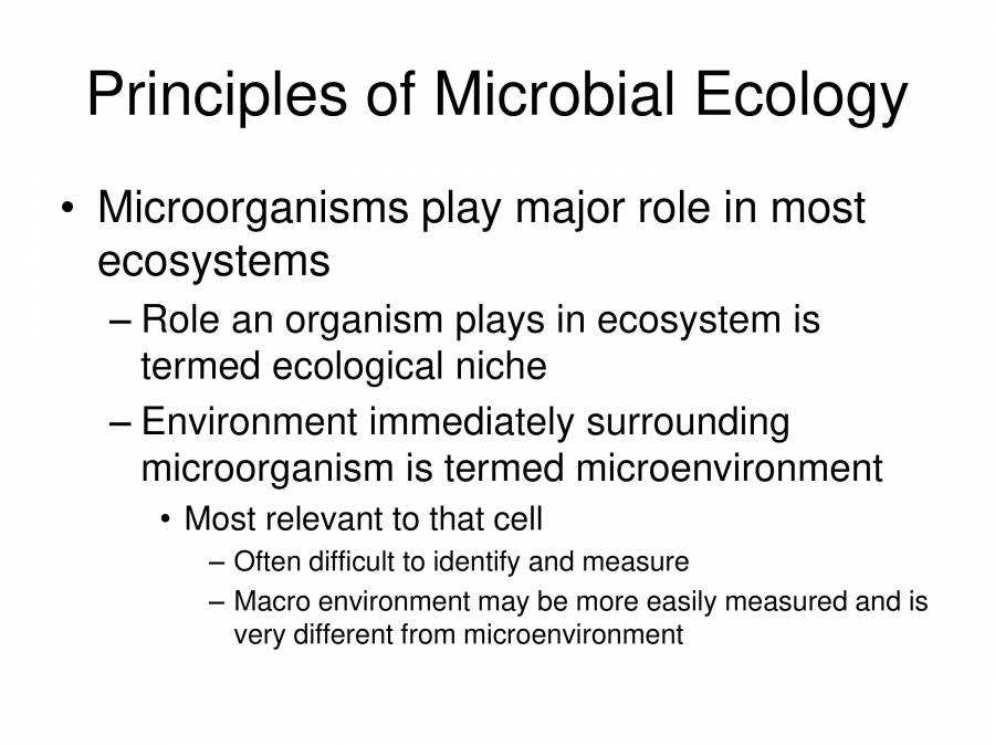 Microbial Ecology - PowerPoint Slides - LearnPick India