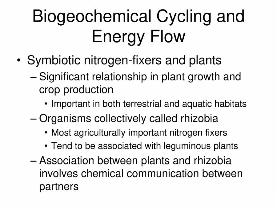 Microbial Ecology - PowerPoint Slides - LearnPick India