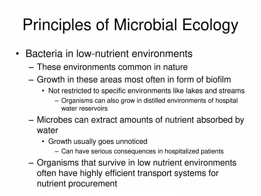 Microbial Ecology Powerpoint Slides Learnpick India