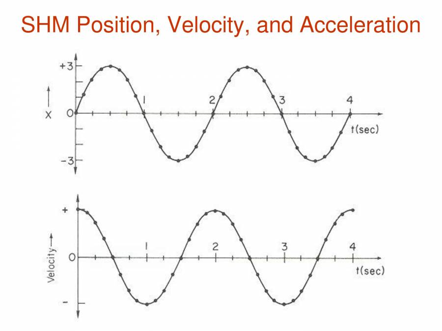 Introduction To Simple Harmonic Motion - PowerPoint Slides - LearnPick India