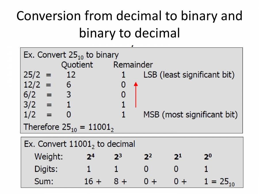 Important Terms - Number Systems And Conversion - PowerPoint Slides ...