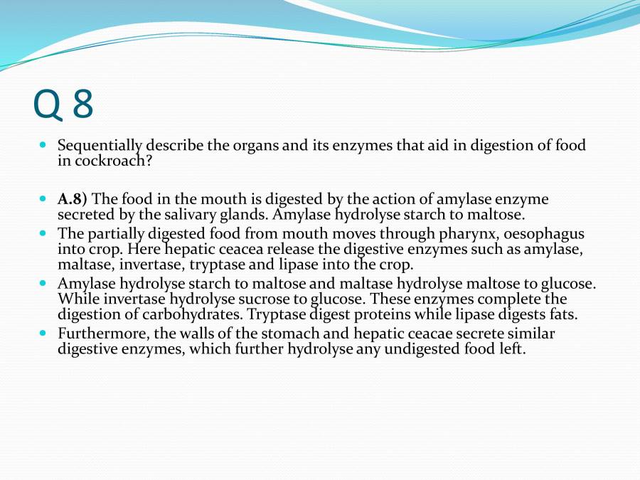 Biology Questions - PowerPoint Slides - LearnPick India