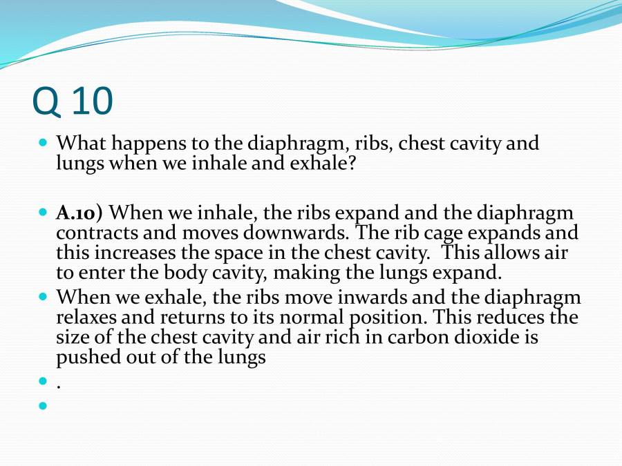 Biology Questions - PowerPoint Slides - LearnPick India