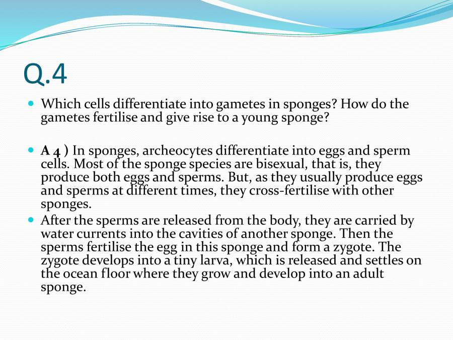 Biology Questions - PowerPoint Slides - LearnPick India