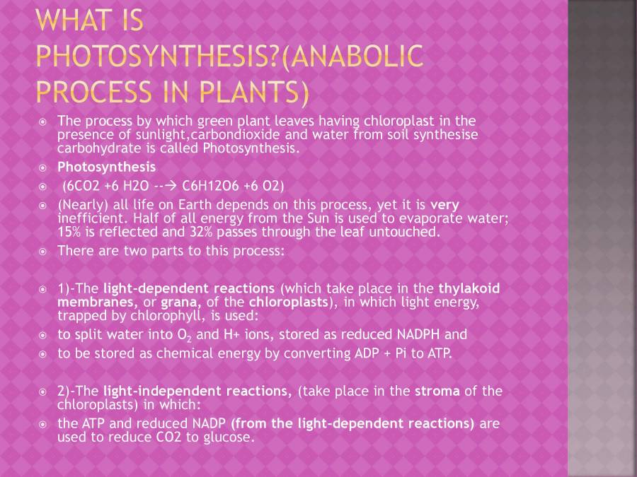Metabolism And Photosynthesis - PowerPoint Slides - LearnPick India