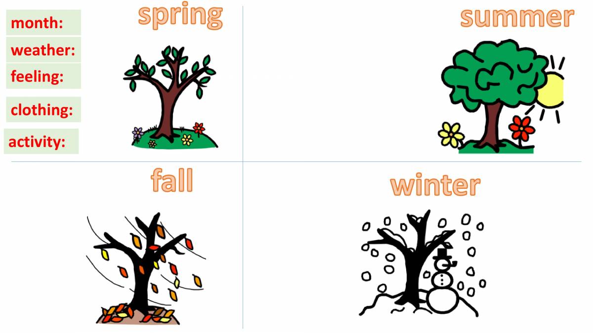 Whether Vocabulary - PowerPoint Slides - LearnPick India