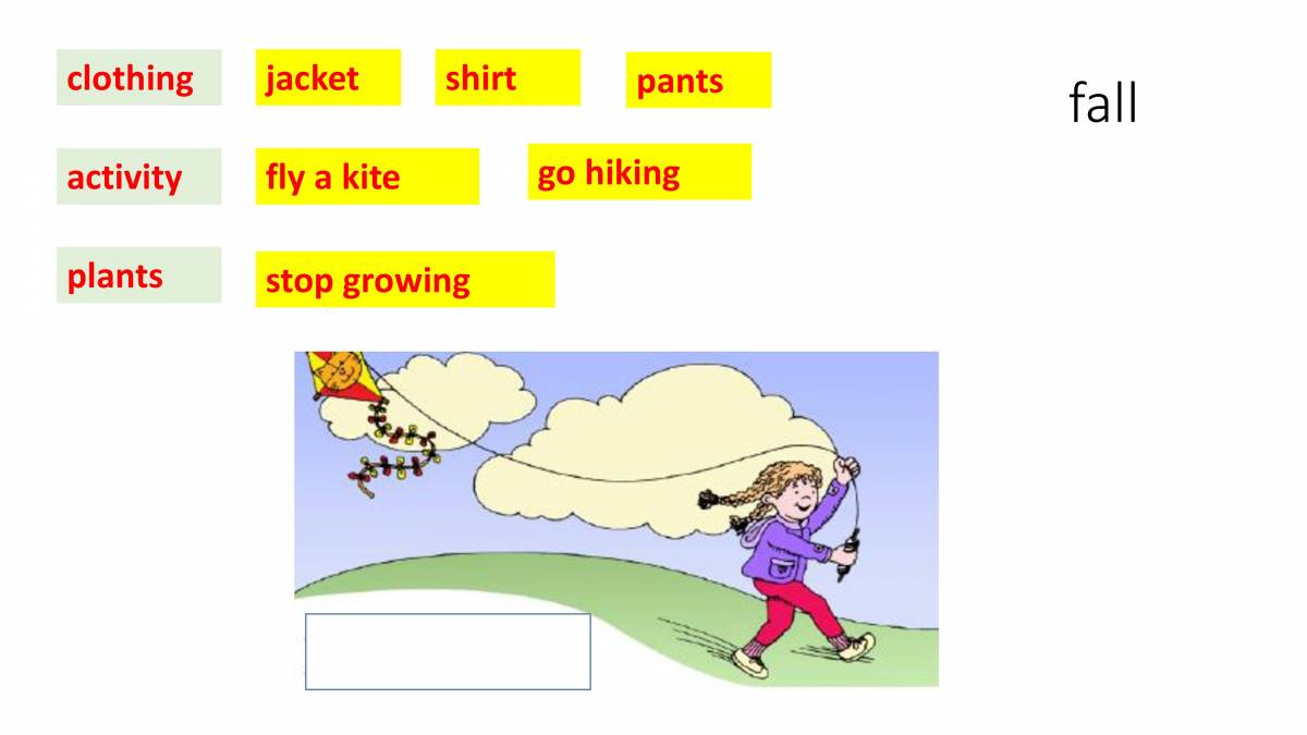Whether Vocabulary - PowerPoint Slides - LearnPick India