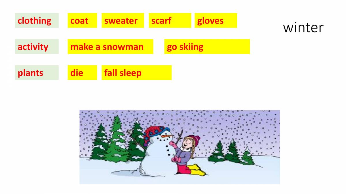 Whether Vocabulary - PowerPoint Slides - LearnPick India