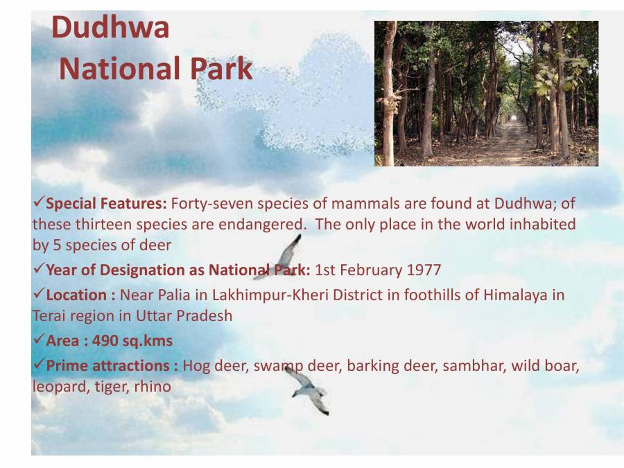 Indian Heritage - Wildlife - PowerPoint Slides - LearnPick India
