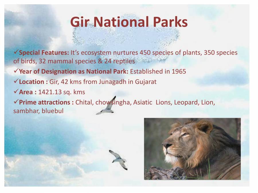 Indian Heritage - Wildlife - PowerPoint Slides - LearnPick India