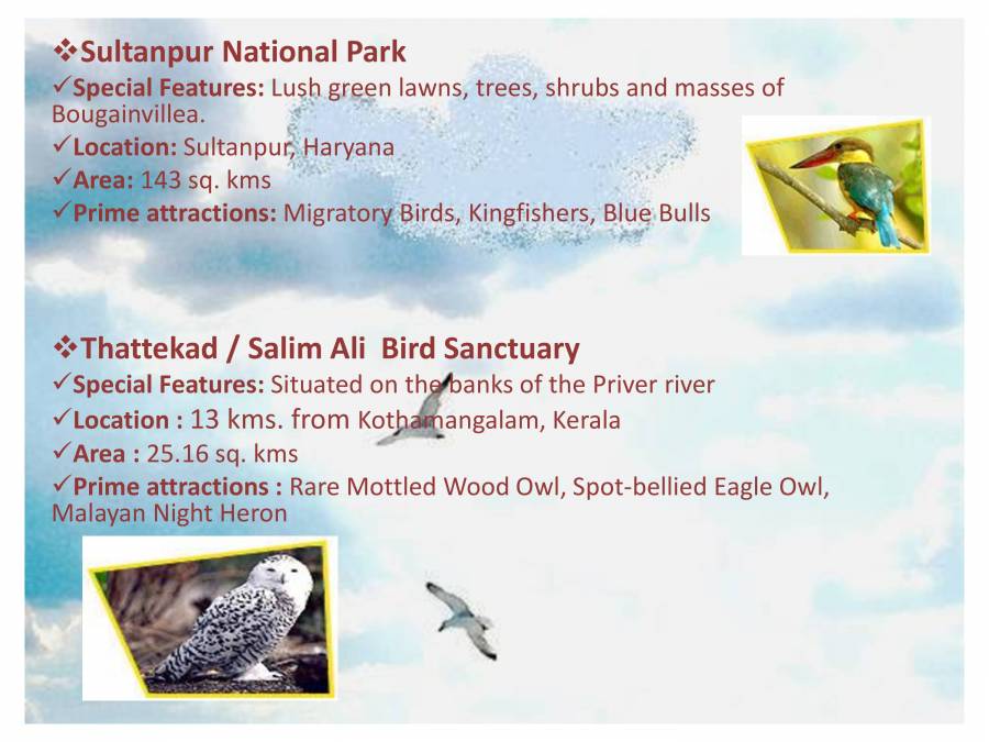 Indian Heritage - Wildlife - PowerPoint Slides - LearnPick India