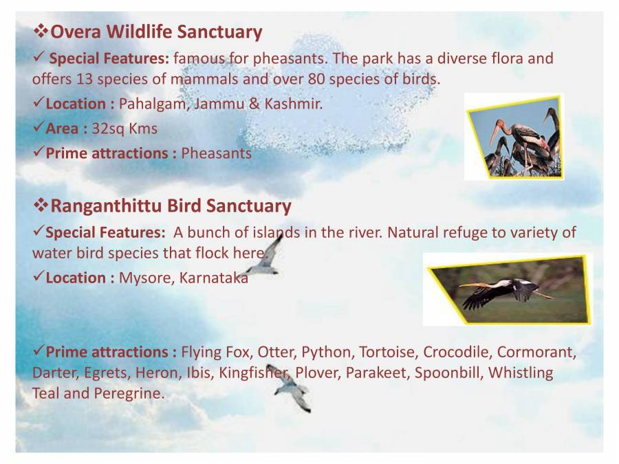 Indian Heritage - Wildlife - PowerPoint Slides - LearnPick India
