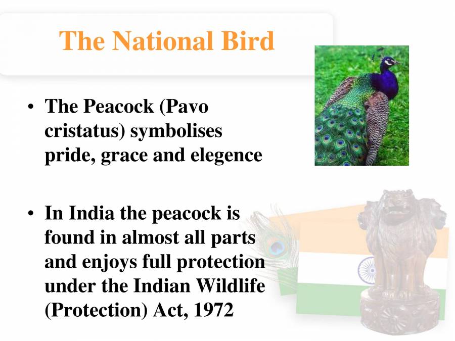Indian Heritage - National Things - PowerPoint Slides - LearnPick India