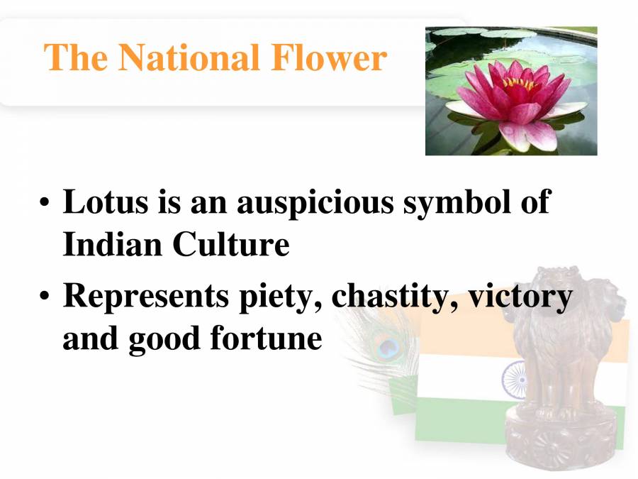 Indian Heritage - National Things - PowerPoint Slides - LearnPick India