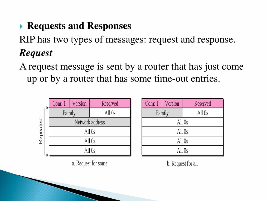 RIP:Routing Information Protocol - PowerPoint Slides - LearnPick India
