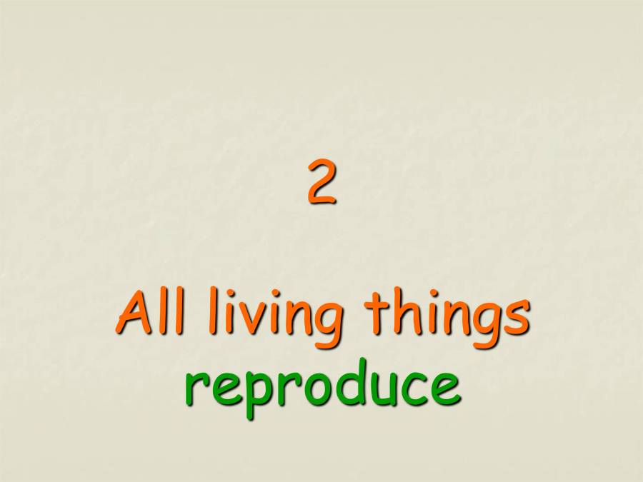 Presentation Describing The Life Processes - PowerPoint Slides ...