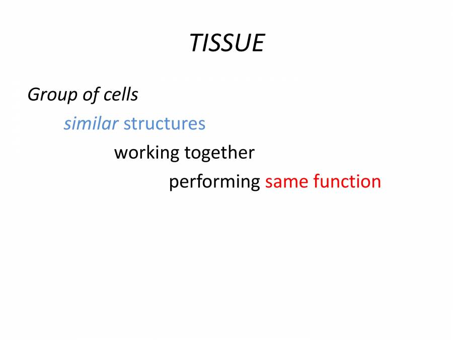 IGCSE Grade 6 Biology Cells And Organisation - PowerPoint Slides ...