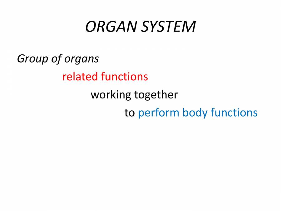 IGCSE Grade 6 Biology Cells And Organisation - PowerPoint Slides ...