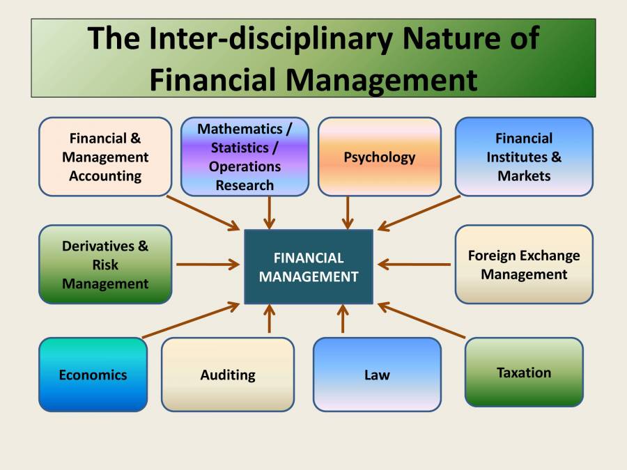 Financial Management - PowerPoint Slides - LearnPick India